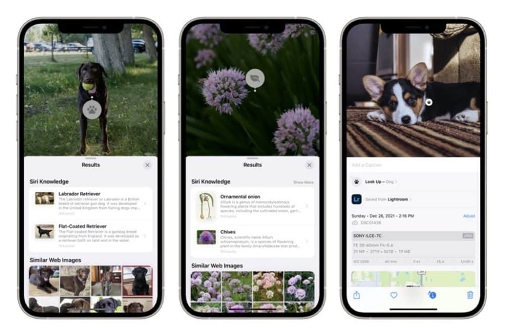 Virtual Look Up: Πώς μπορείτε να χρησιμοποιήσετε τη λειτουργία σε ...